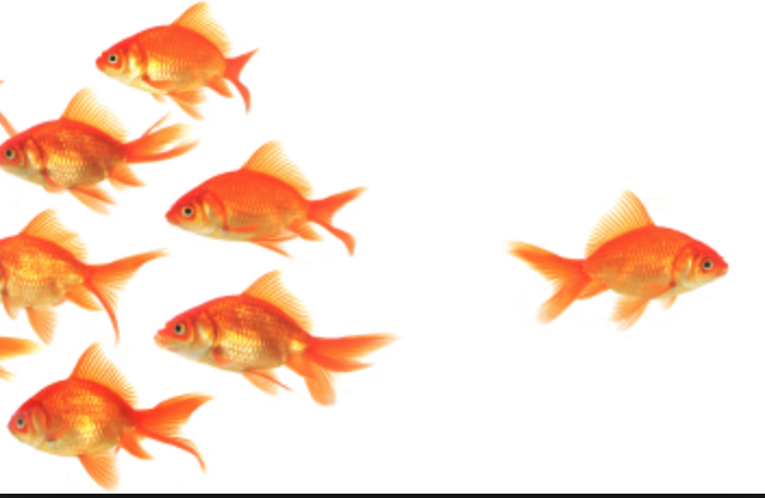 Challenge the status quo, with care. Be contrarian with a cause. - Reputation Today