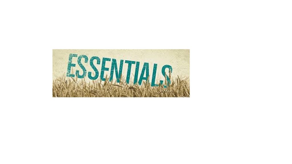 What are your new essentials? - Reputation Today