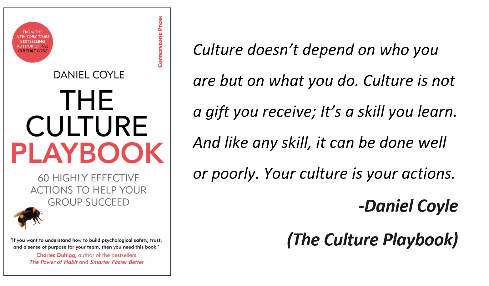 The Culture Playbook - 60 Highly Effective Actions to Help your Group ...
